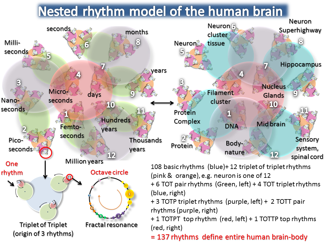 Global Brain Rhythm Database – nanobraintech